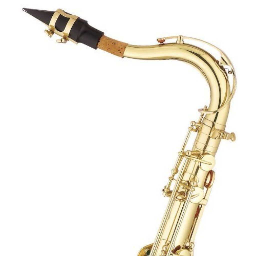 5 Best Tenor Saxophones Reviewed in Detail (Aug. 2019)