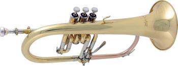 5 Best Flugelhorns Reviewed in Detail [Jul. 2020]