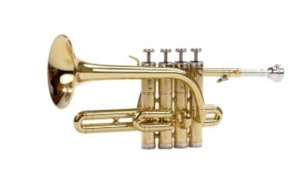 5 Best Piccolo Trumpets Reviewed in Detail [Oct. 2020]