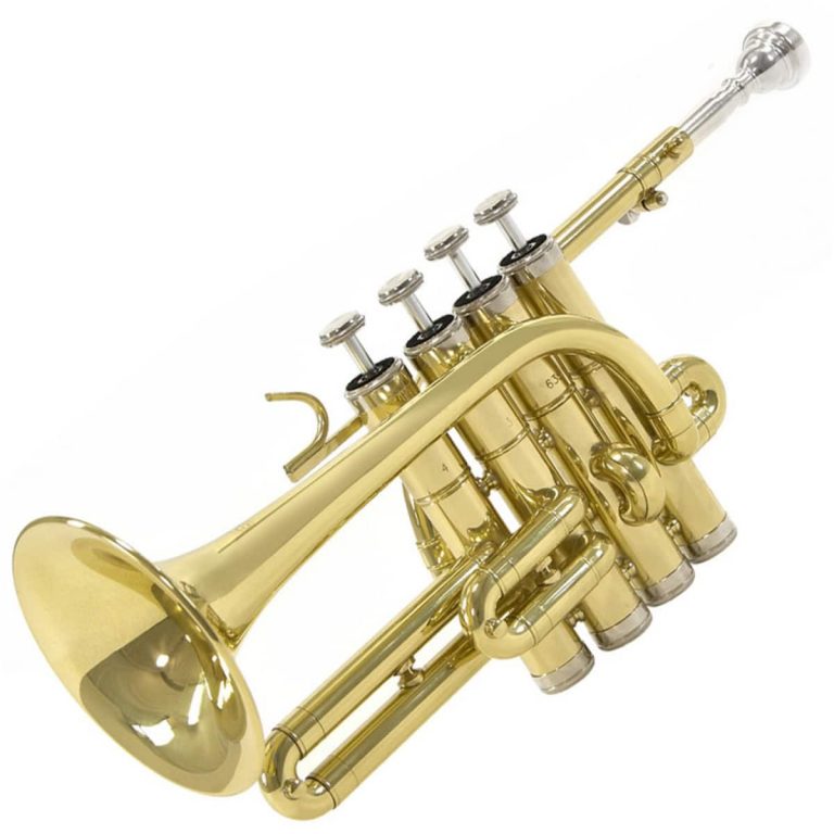 5 Best Piccolo Trumpets Reviewed in Detail [Oct. 2020]