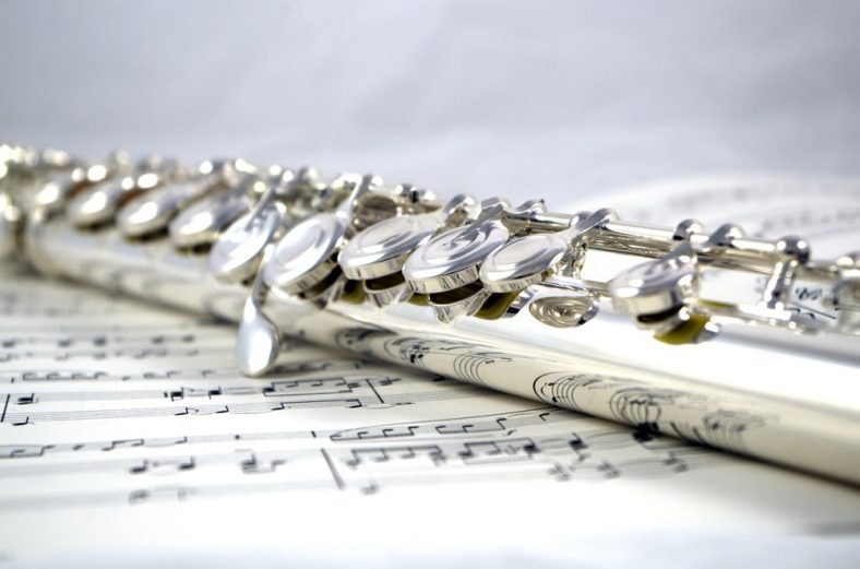 5 Best Intermediate Flutes Reviewed in Detail [Oct. 2020]