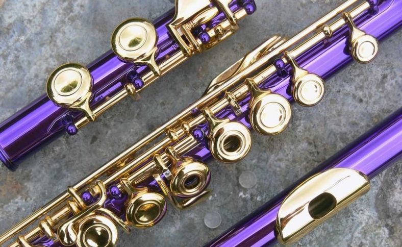5 Best Professional Flutes Reviewed in Detail [Jun. 2020]