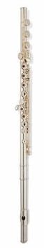 5 Best Intermediate Flutes Reviewed in Detail [Jun. 2020]