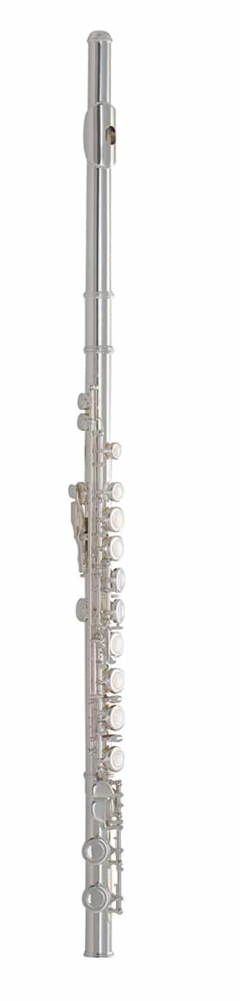 4 Best Beginner Flutes Reviewed in Detail [Oct. 2020]