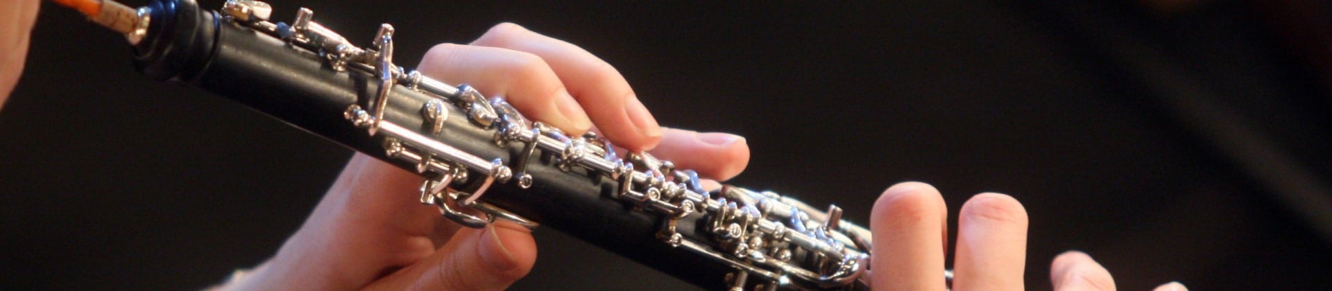 5 Best Oboes Reviewed in Detail [Jun. 2020]