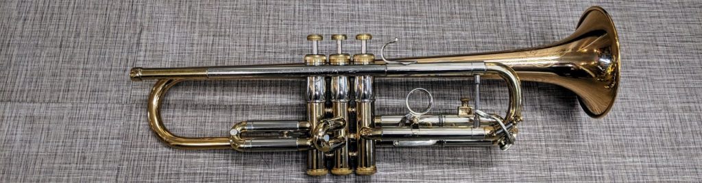 5 Best Plastic Trumpets Reviewed in Detail [Jan. 2021]