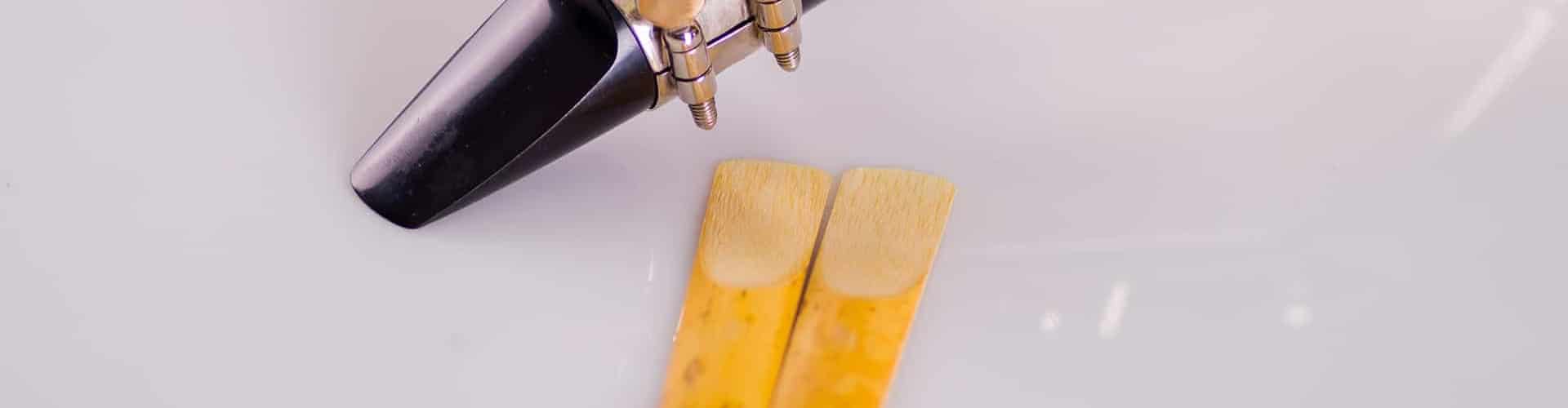 5 Best Alto Saxophone Reeds Reviewed in Detail [Sept. 2020]