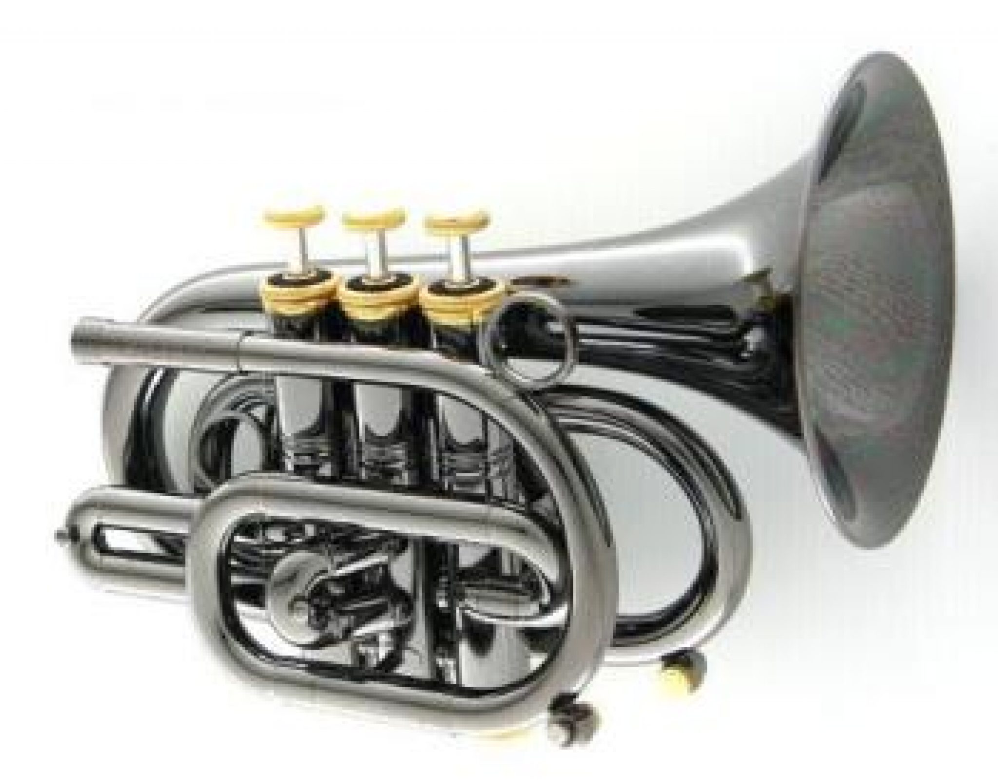 5 Best Professional Trumpets Reviewed in Detail [Jan. 2020]