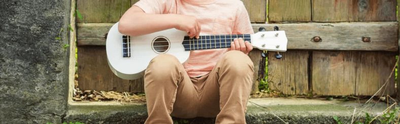 10 Best Concert Ukuleles Reviewed in Detail [Nov. 2020]