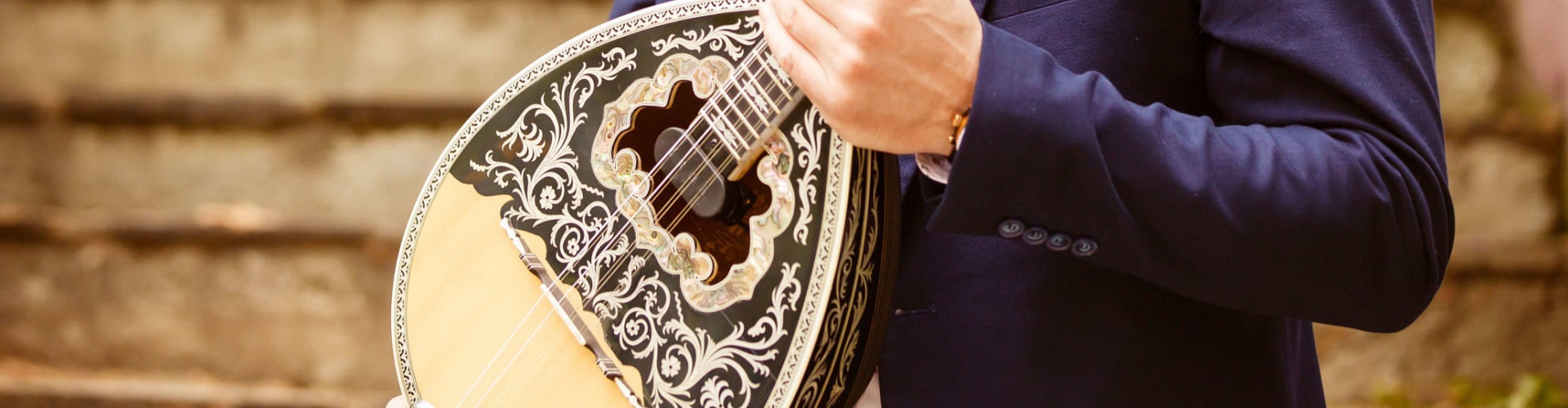 5 Best Bouzoukis Reviewed in Detail [Feb. 2021]