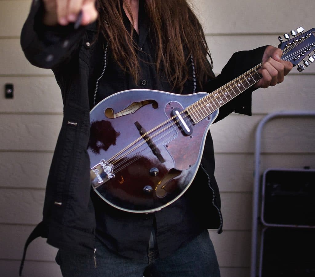 5 Best Electric Mandolins Reviewed in Detail [Feb. 2021]