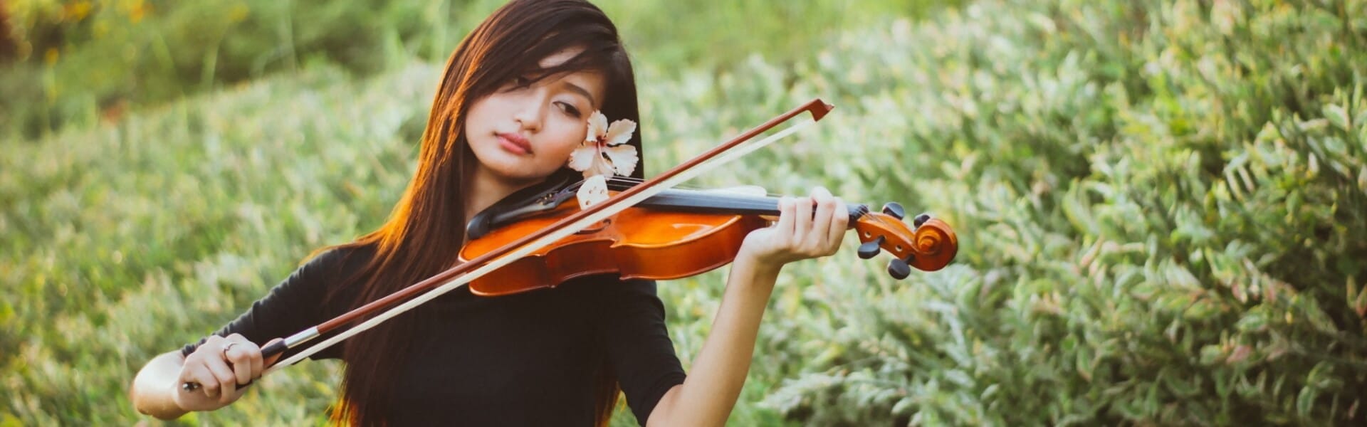 Types of Violins: Beginner's Guide [Upd. 2025]