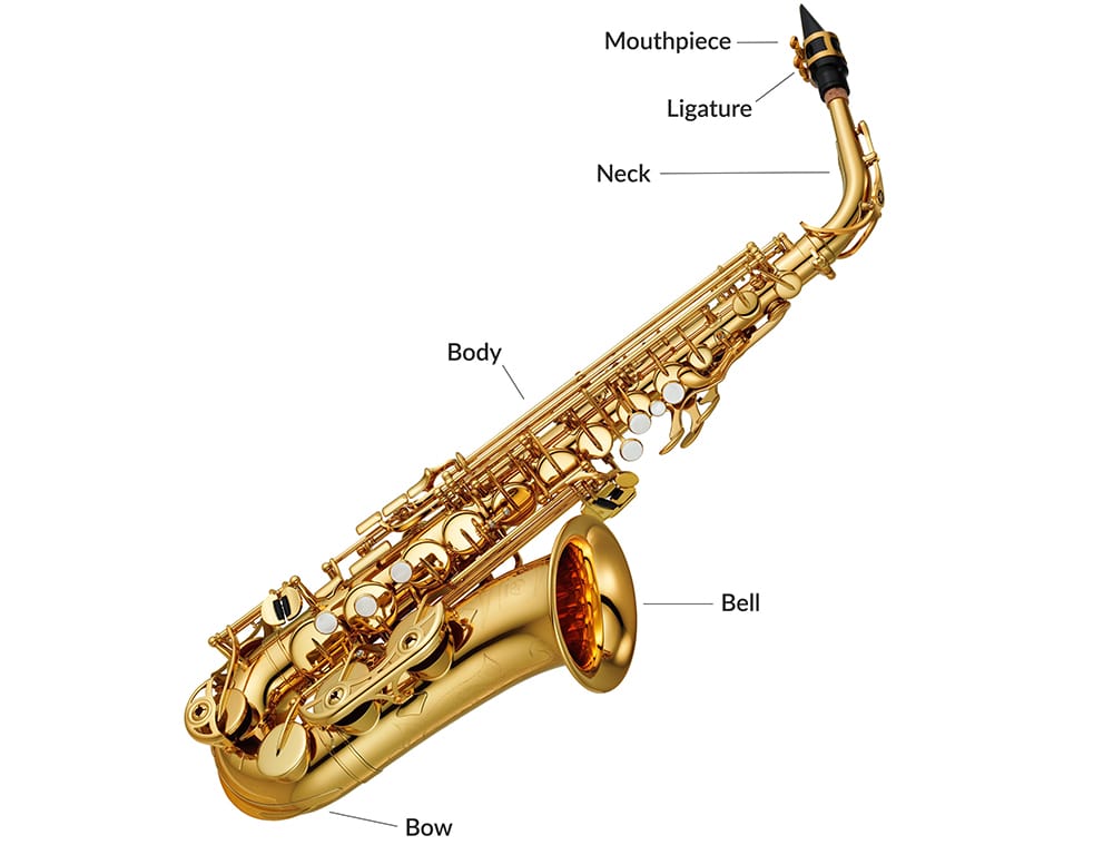 Is The Saxophone Difficult To Learn Here Is The Answer And Advice 2022 